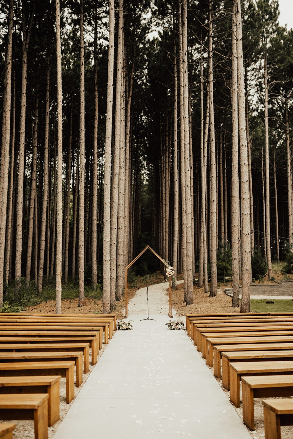 Pinewood Wedding in Cambridge, MN | Emma + Brennan ...